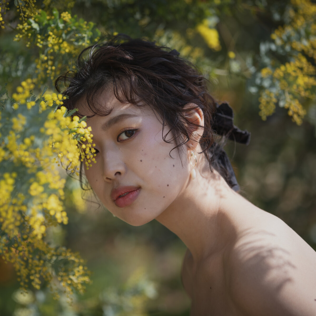 mimosa | 撮影専門会社GRAPHYS｜静岡県浜松市